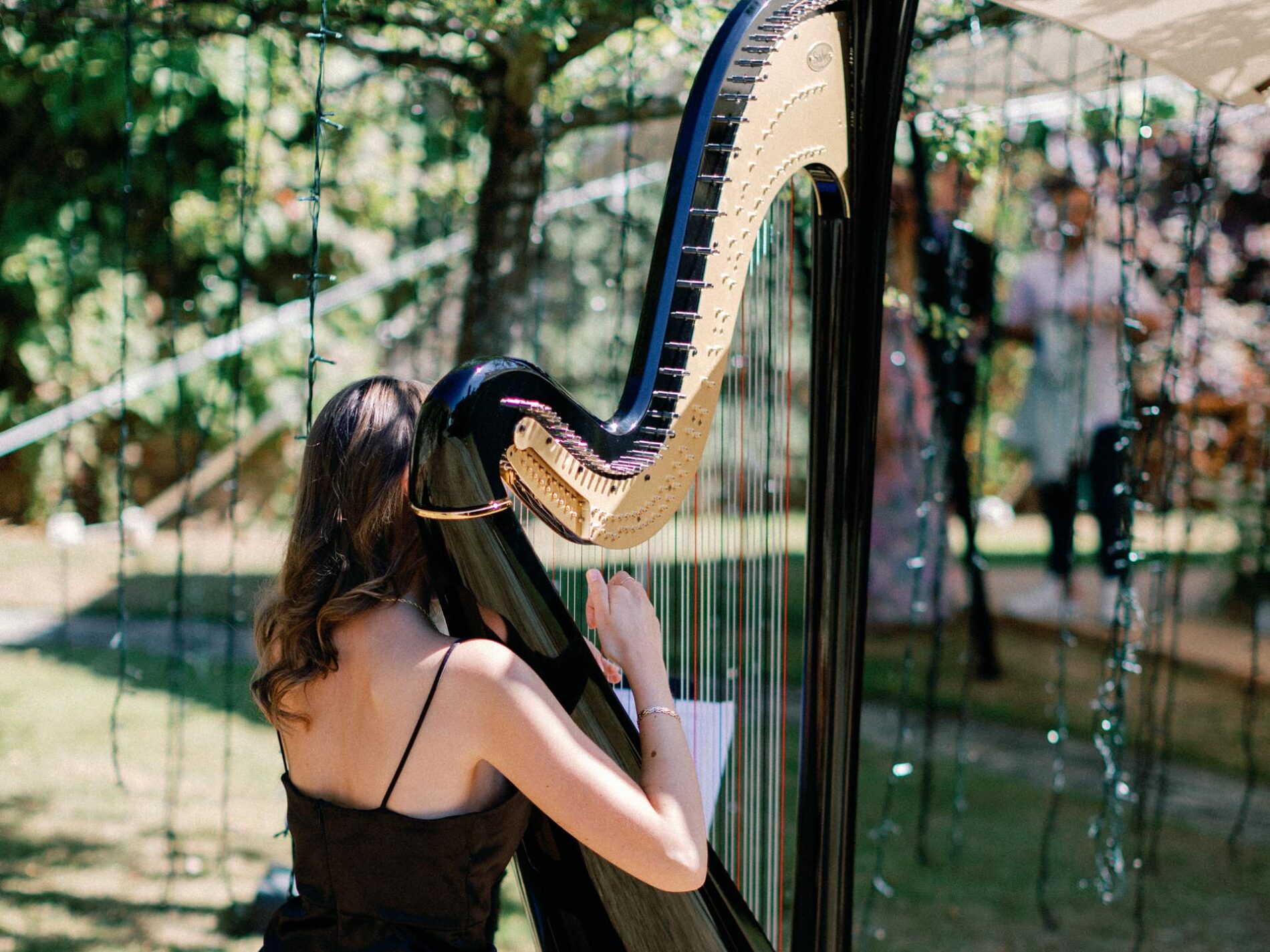 Trudy – Merchant Music